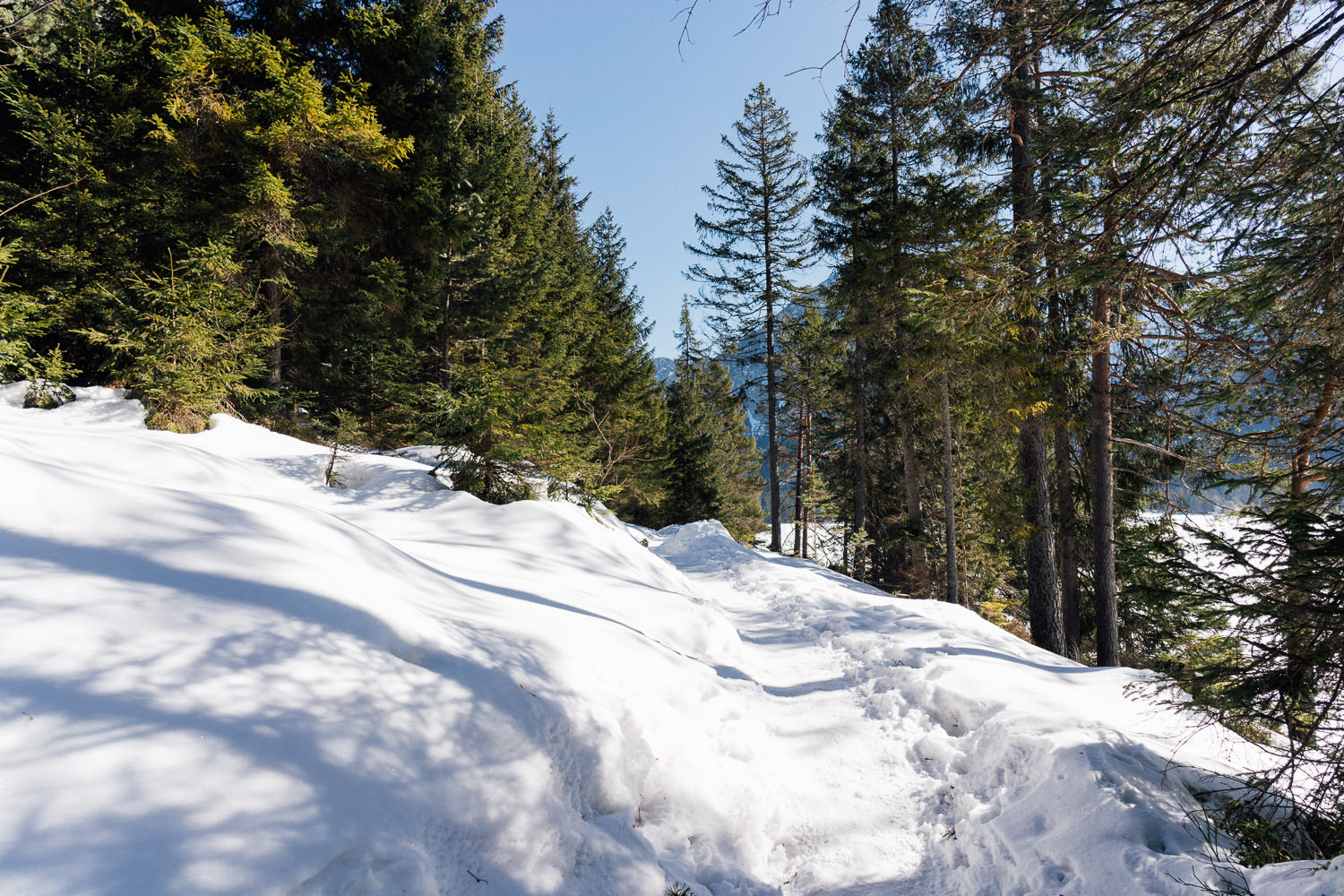 Winterwandern in Ehrwald in Tirol - 3 schöne Winterwanderungen