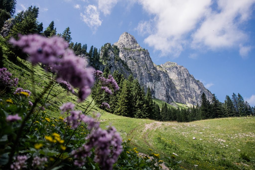 Breitenberg in Pfronten - Wanderung durch die Reichenbachklamm